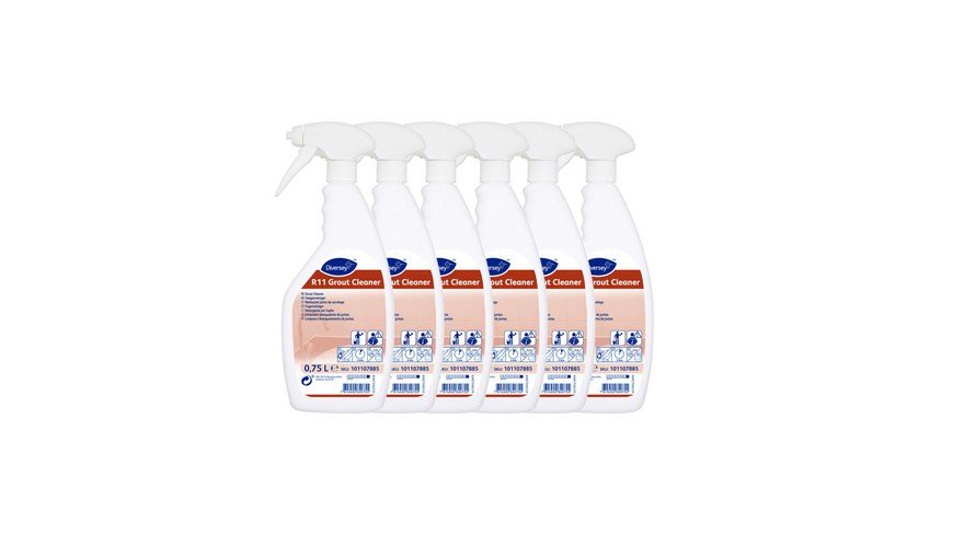 ROOM CARE Fugenreiniger R11 Grout Cleaner 6 x 750 ml